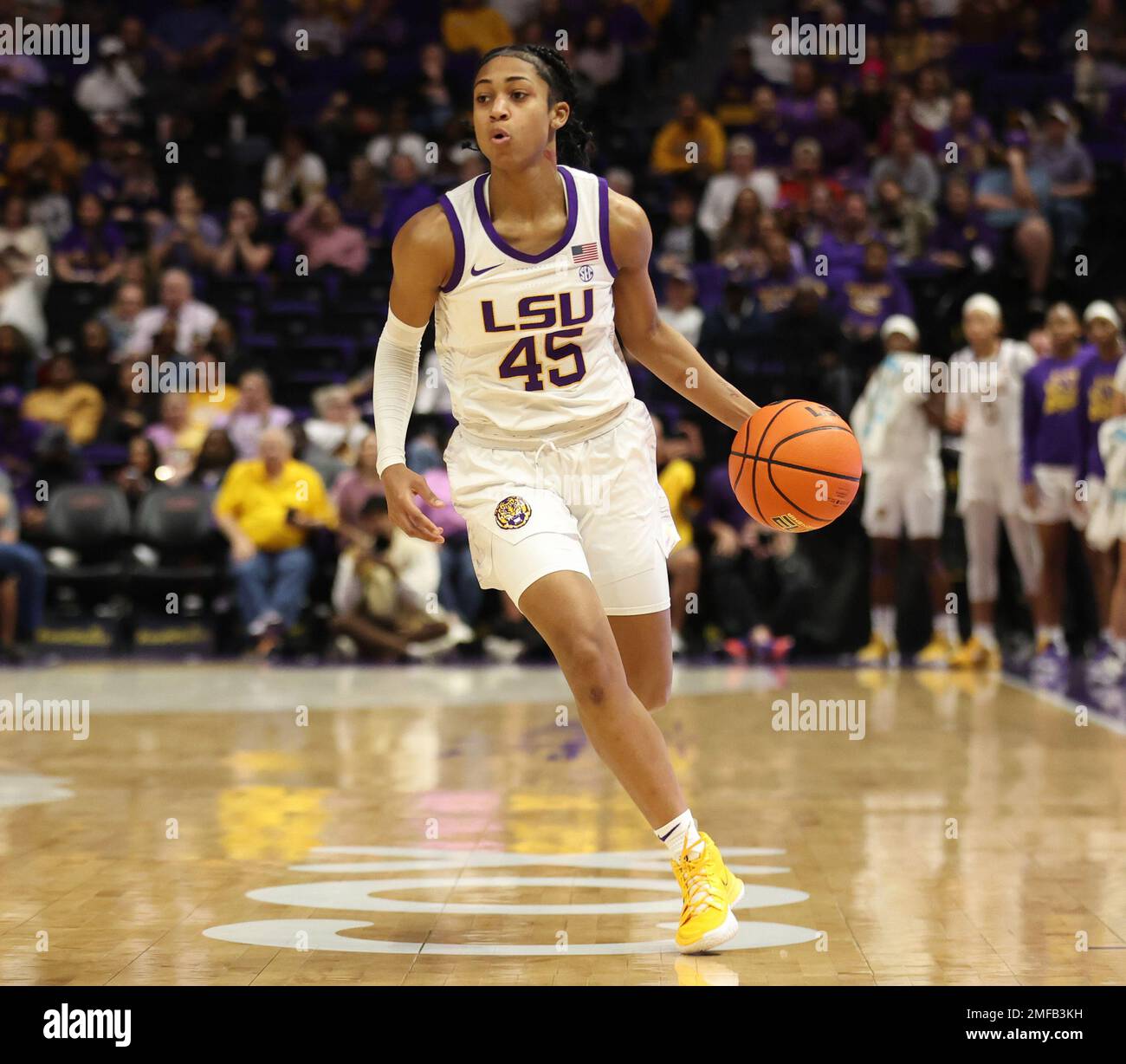 Le gardien de LSU Lady Tigers Alexis Morris (45) monte le ballon sur le ...