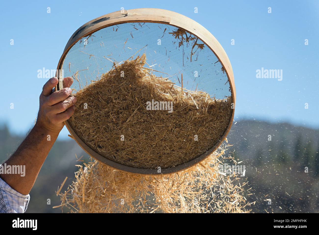 Ancien tamis pour la tamisage de la farine et du blé, le fermier filtre ...