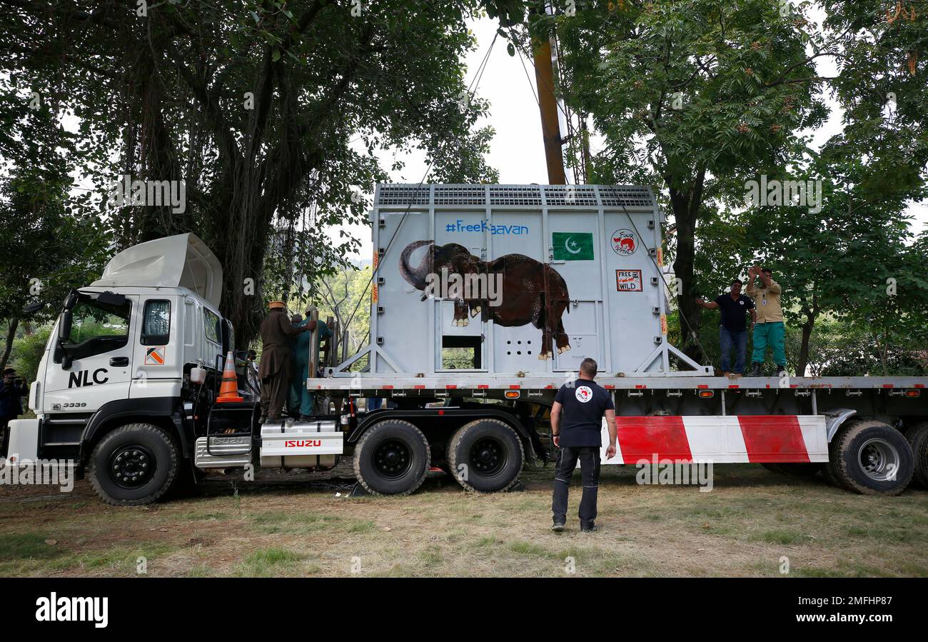Pakistani wildlife workers and experts from the international animal ...