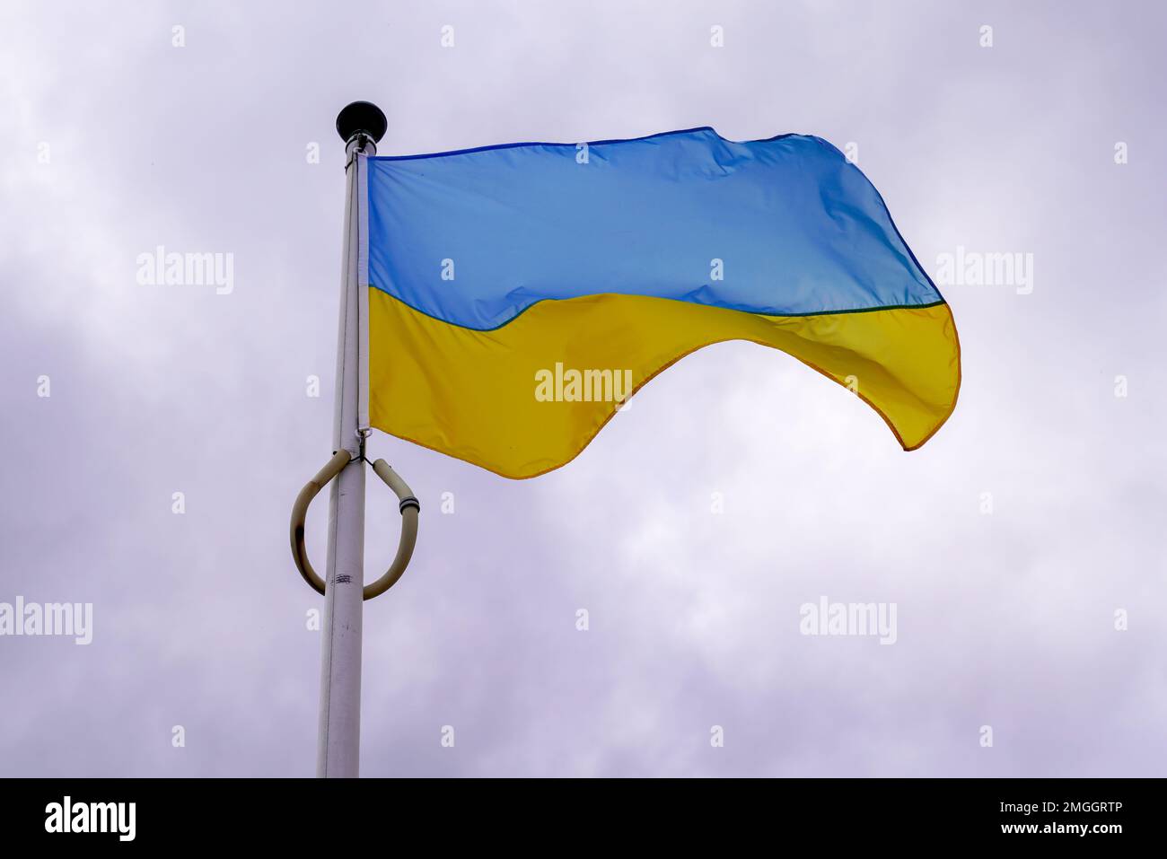 Drapeau ukrainien et union jack Banque de photographies et d’images à ...