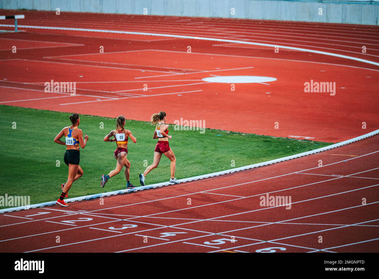 Groupe d'athlètes féminins déterminés qui participent à la course de ...