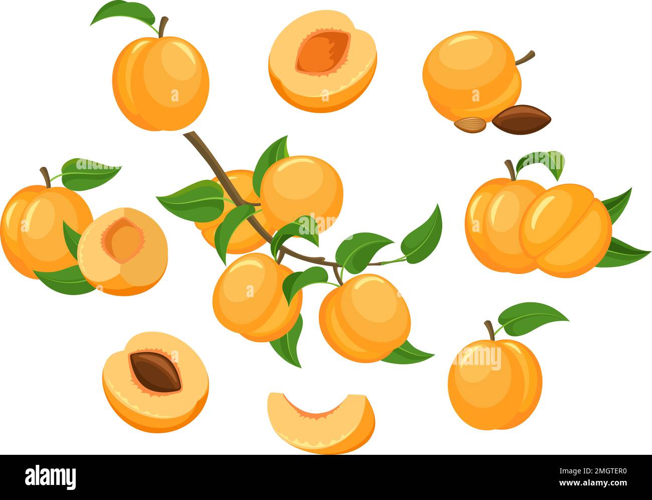 Abricots cartoon Banque de photographies et d’images à haute résolution ...