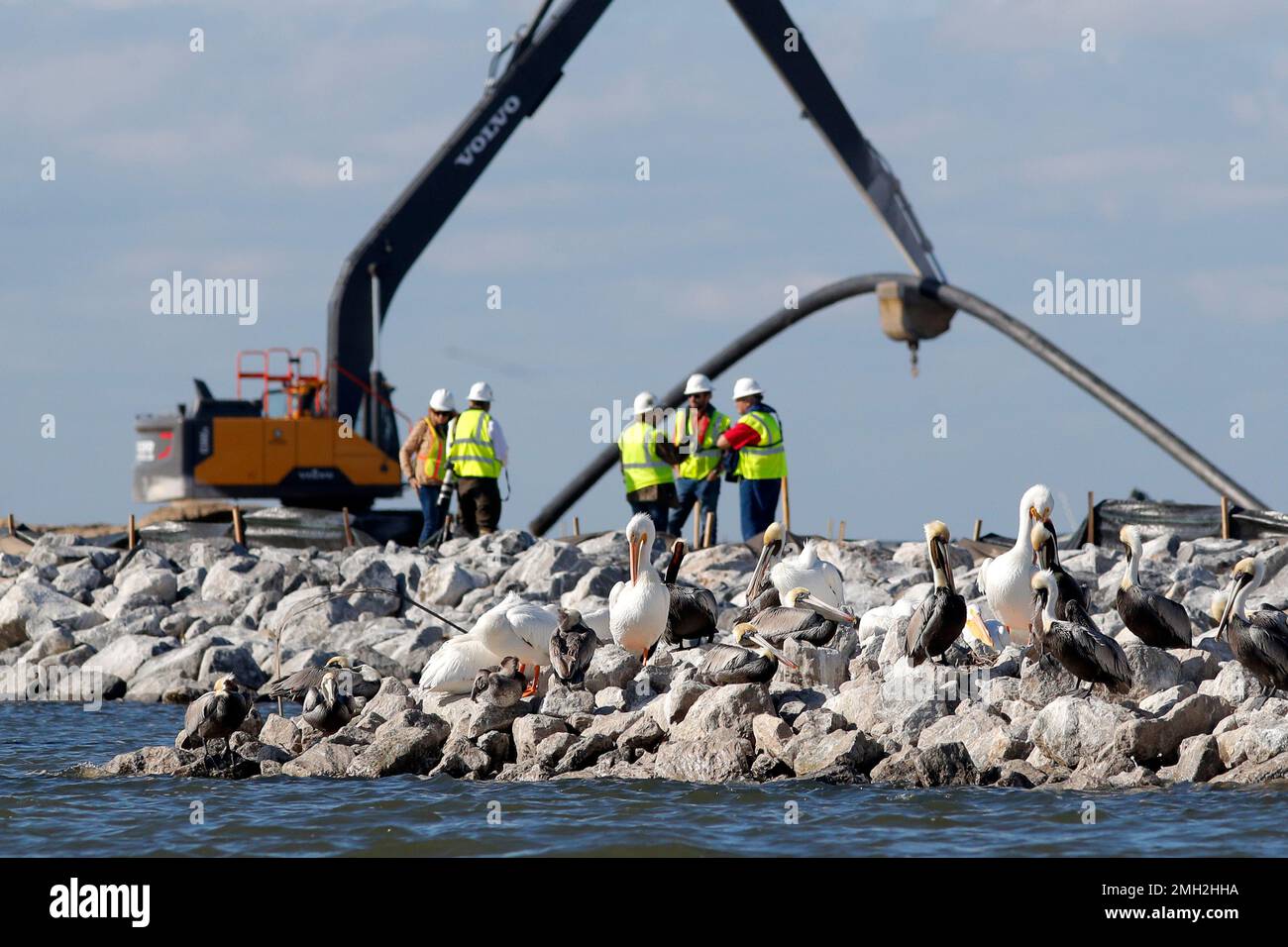 Pelicans sit on rocks in front of construction workers on Queen Bess ...