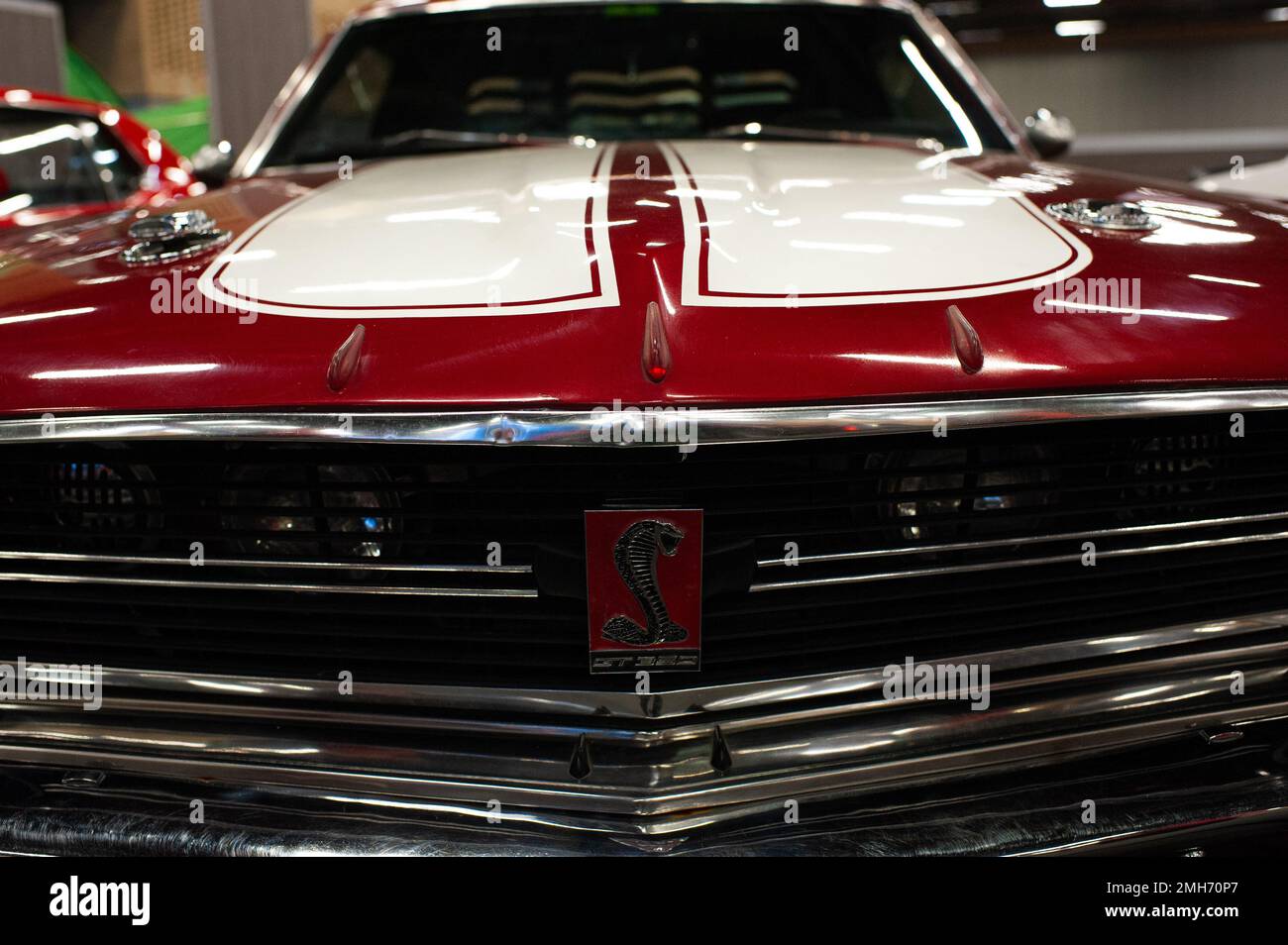 Un Shelby GT 350 est vu lors du salon de l'auto MCM à Bogota, en ...