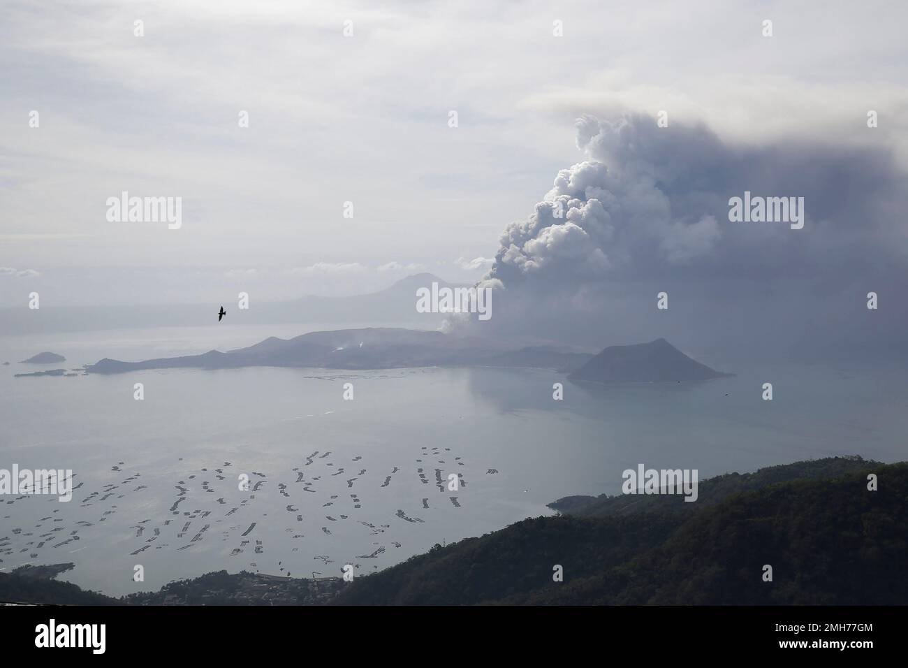 Taal Volcano continues to spew ash on Monday Jan. 13, 2020, in Tagaytay, Cavite province, south ...
