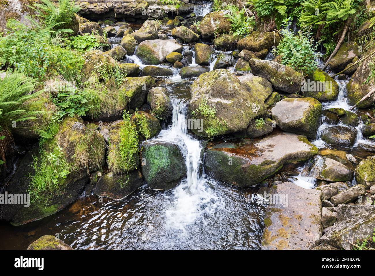 Waterfall of triberg Banque de photographies et d’images à haute ...