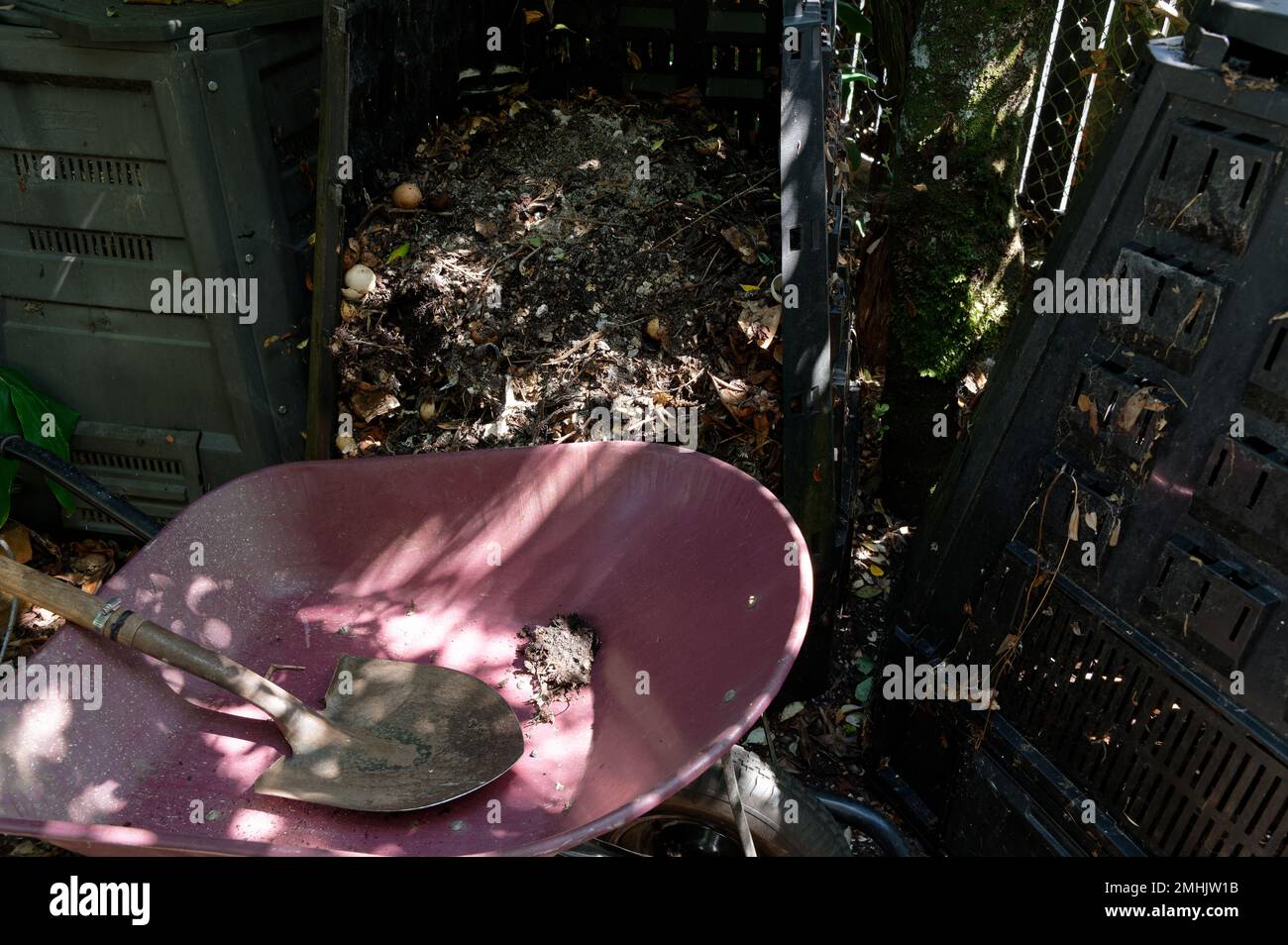 Une brouette attend d'être remplie de compost provenant du bac à ...