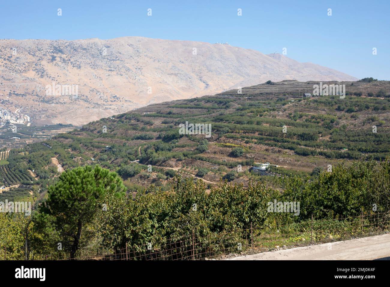 In this Sept. 10 2019 photo, apple trees grow on Druze farmland in the ...
