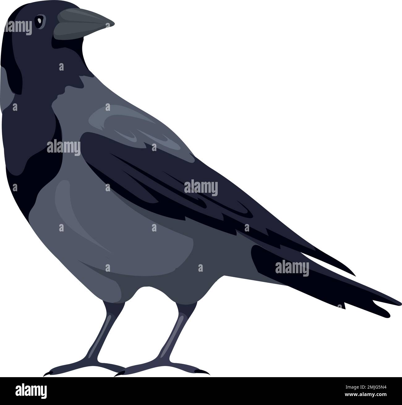 Icône de corbeau noire. Icône Raven. Oiseau sauvage isolé sur fond ...