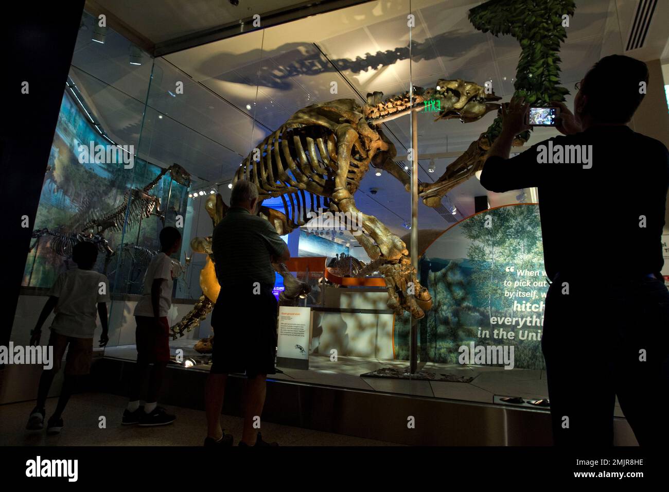 Visitors watch a giant ground sloth during the Smithsonian's National ...