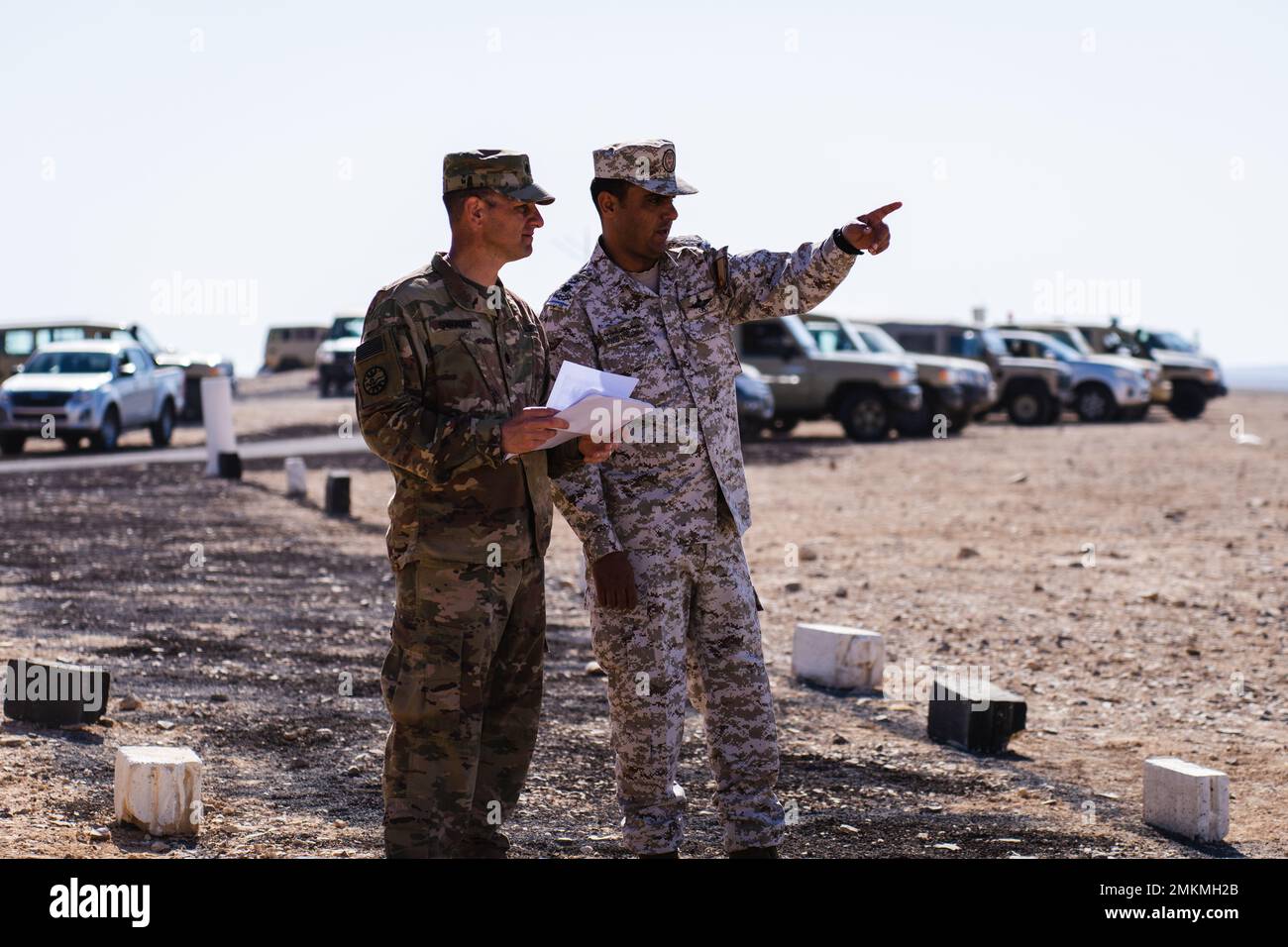Le lieutenant-colonel Cory Swanson de l’armée américaine, commandant du ...
