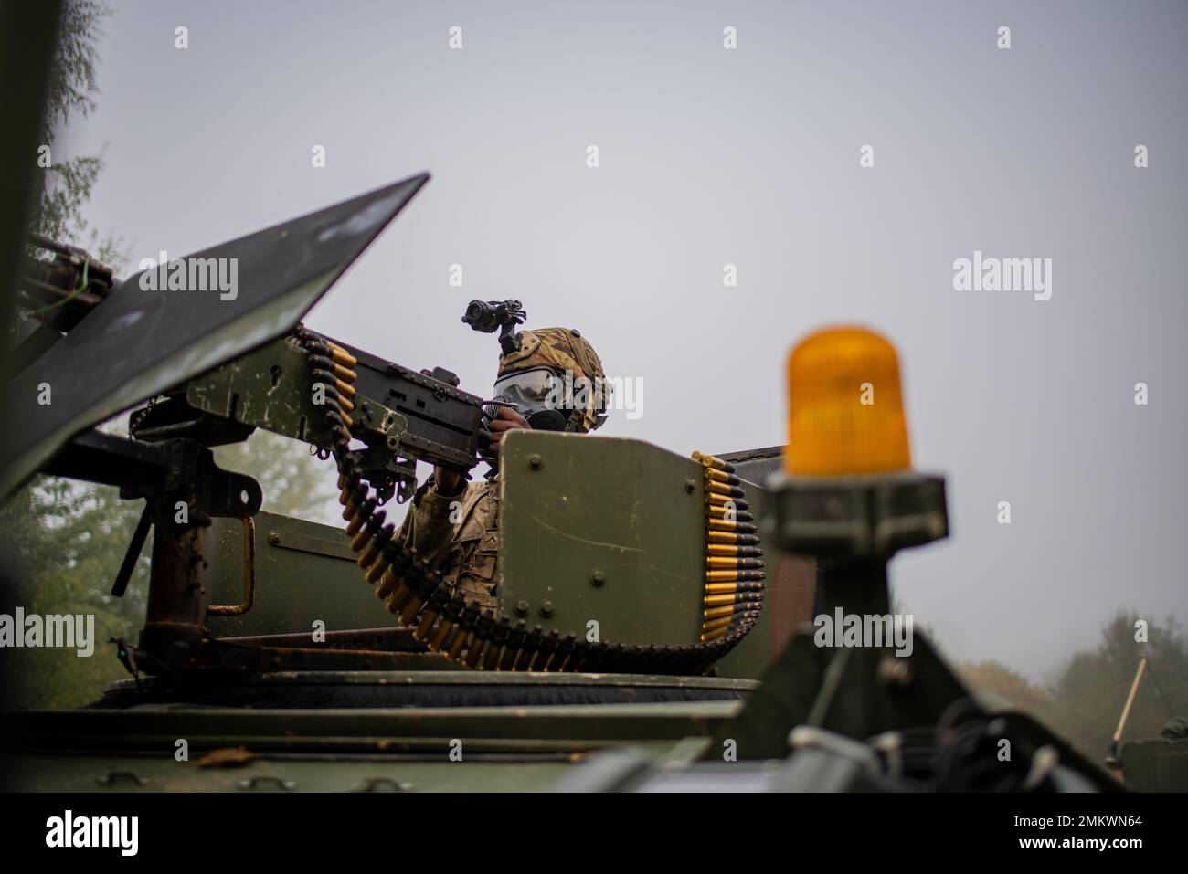 Un parachutiste de l'armée américaine affecté au 4th Bataillon, 319th ...