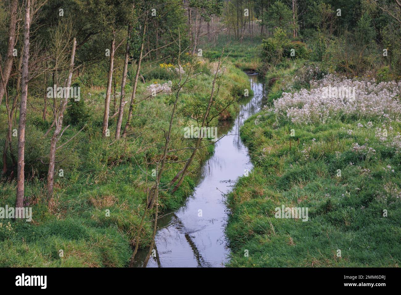 Gmina radziejowice Banque de photographies et d’images à haute ...