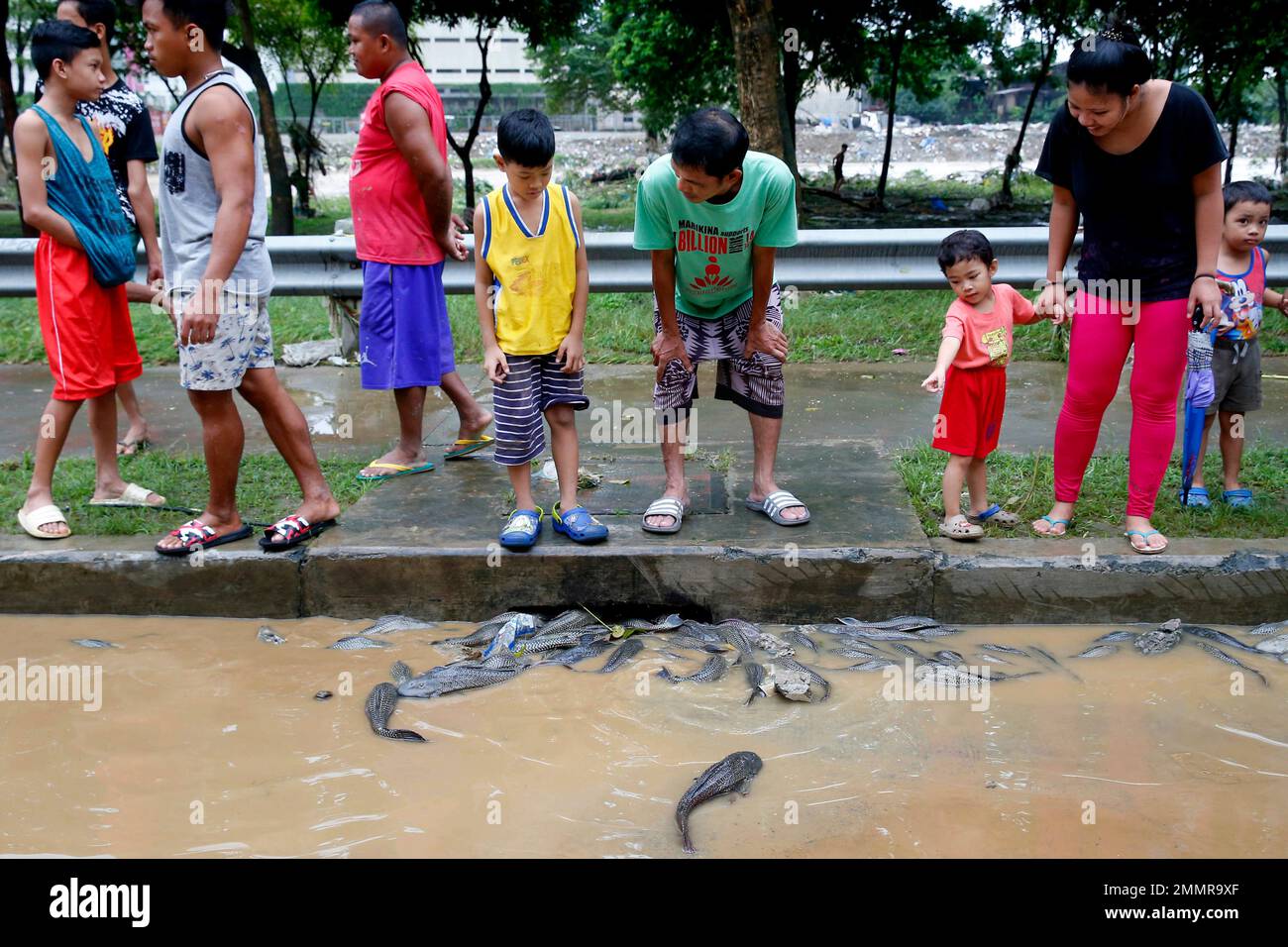 Residents look at janitor fish which were swept into the road from the ...
