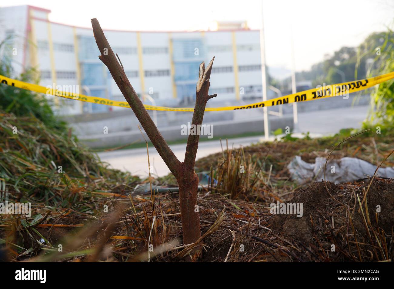 A twig at bottom, left is placed at the spot where a gunman was ...
