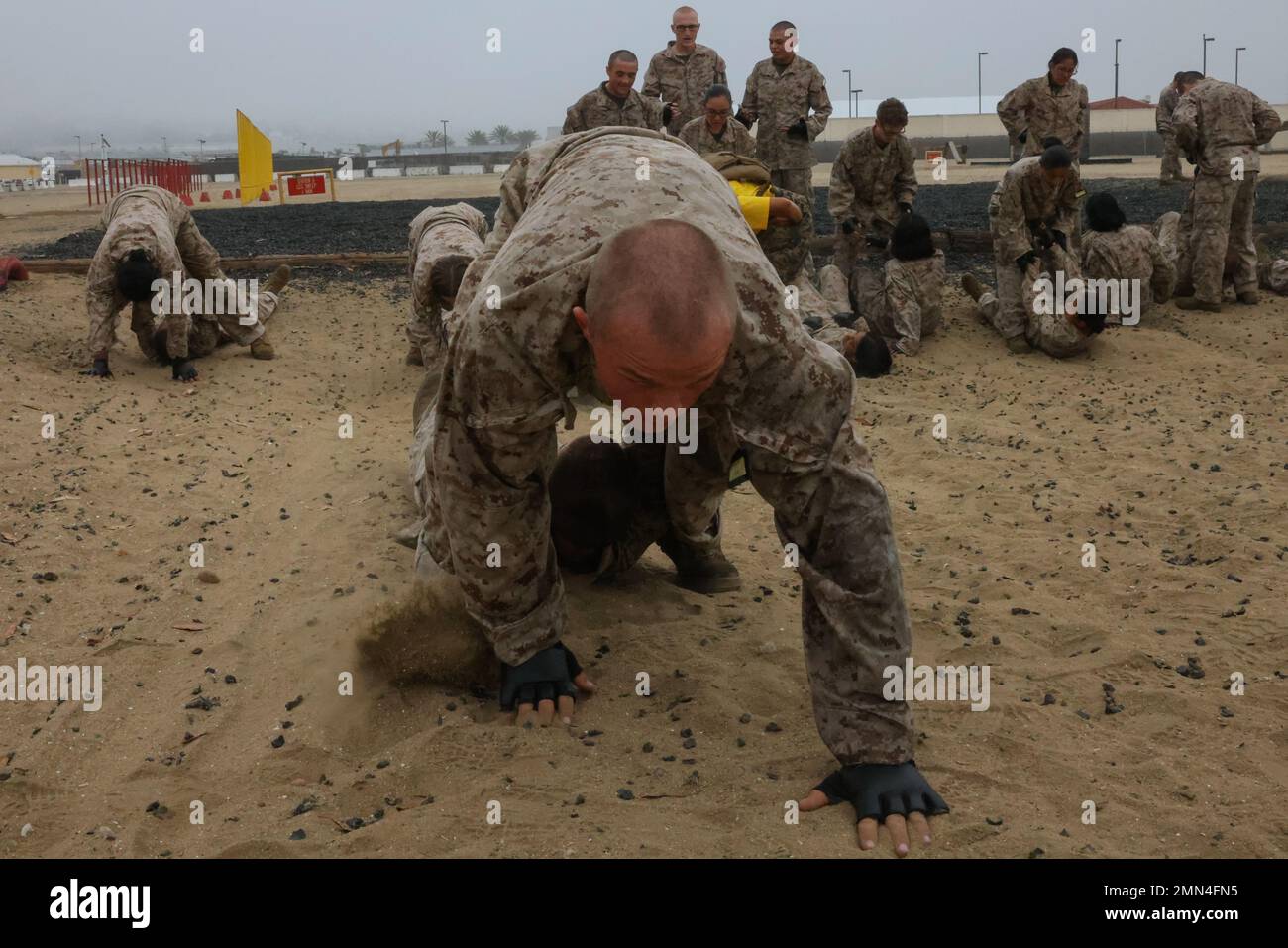 La recrue du corps des Marines des États-Unis Connor Nowicki, une ...