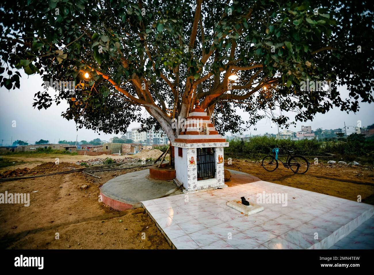 Temple banyan tree india Banque de photographies et d’images à haute ...