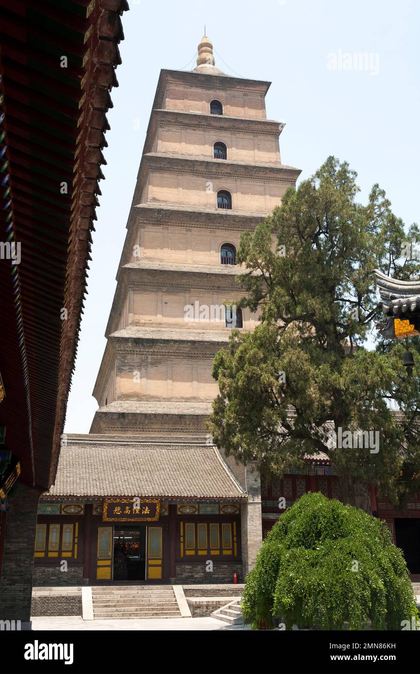 Vue sur la pagode Da Yan / Da Tan / Popular; 'Giant Wild Goose' dans ...