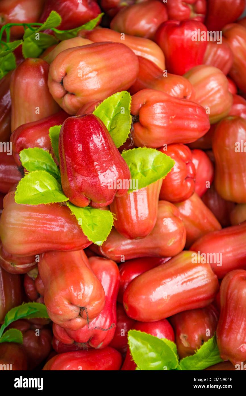 Pomme aqueuse Banque de photographies et d’images à haute résolution ...