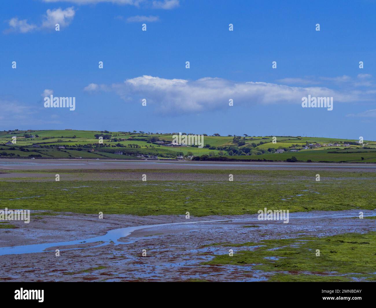 Ouvrir le fond marin après une marée basse, zone marécageuse. Paysage ...