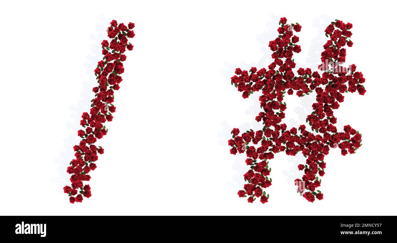Concept ou ensemble conceptuel de belles roses rouges florantes ...