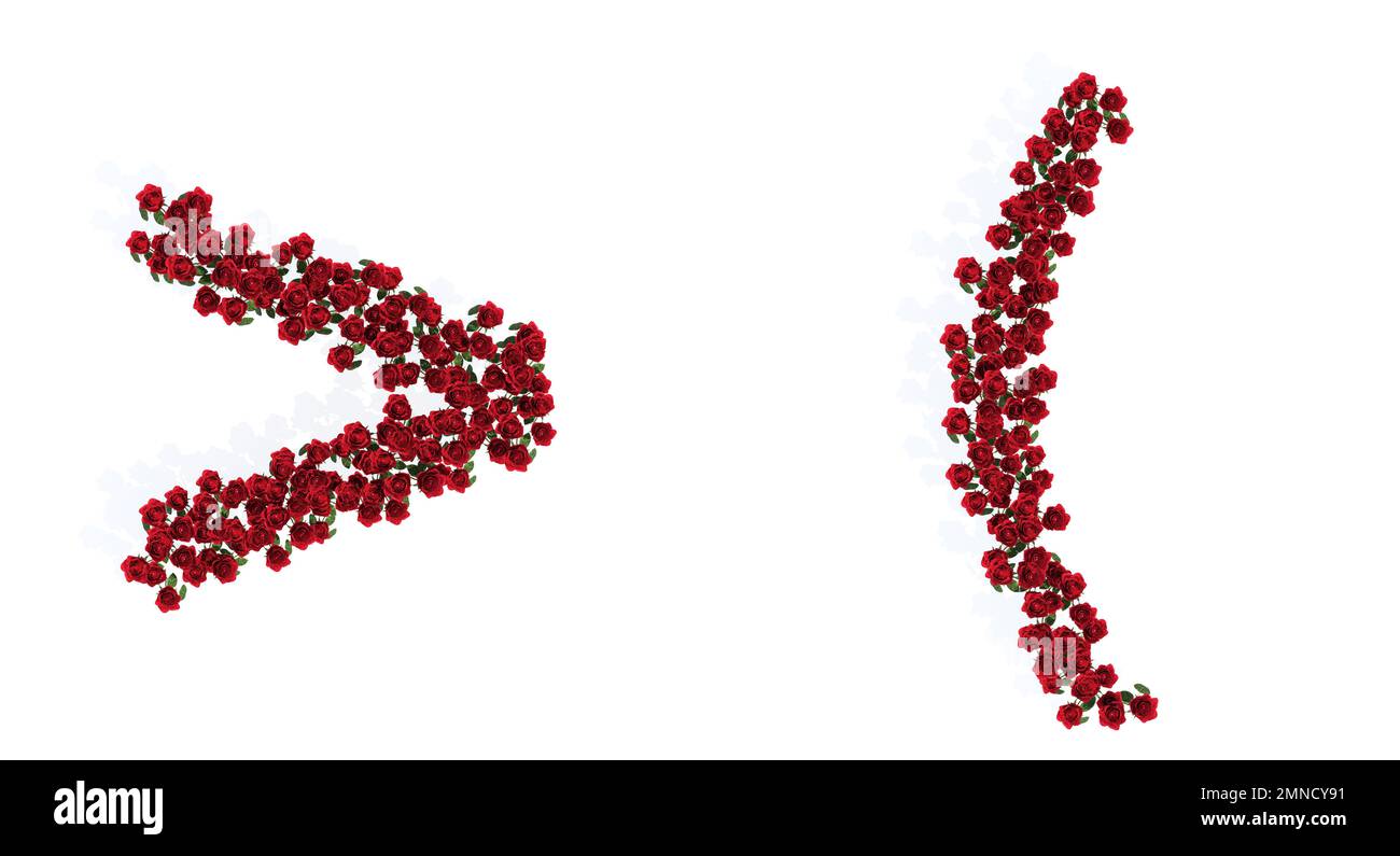 Concept ou ensemble conceptuel de belles roses rouges florantes ...
