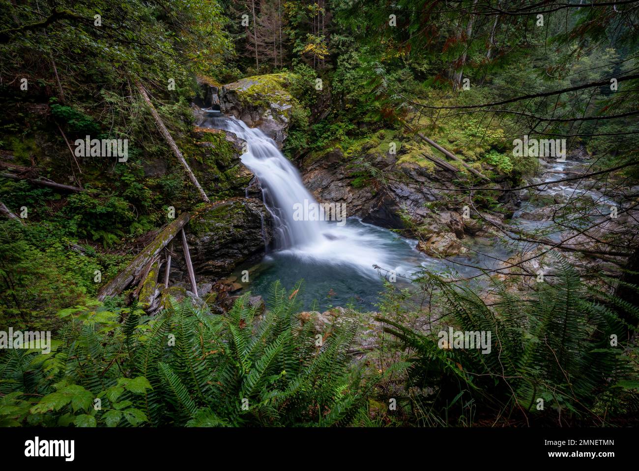 North fork falls Banque de photographies et d’images à haute résolution ...