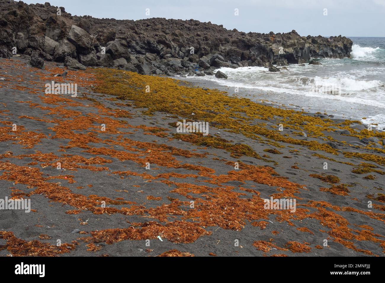 Plage de las malvas Banque de photographies et d’images à haute ...