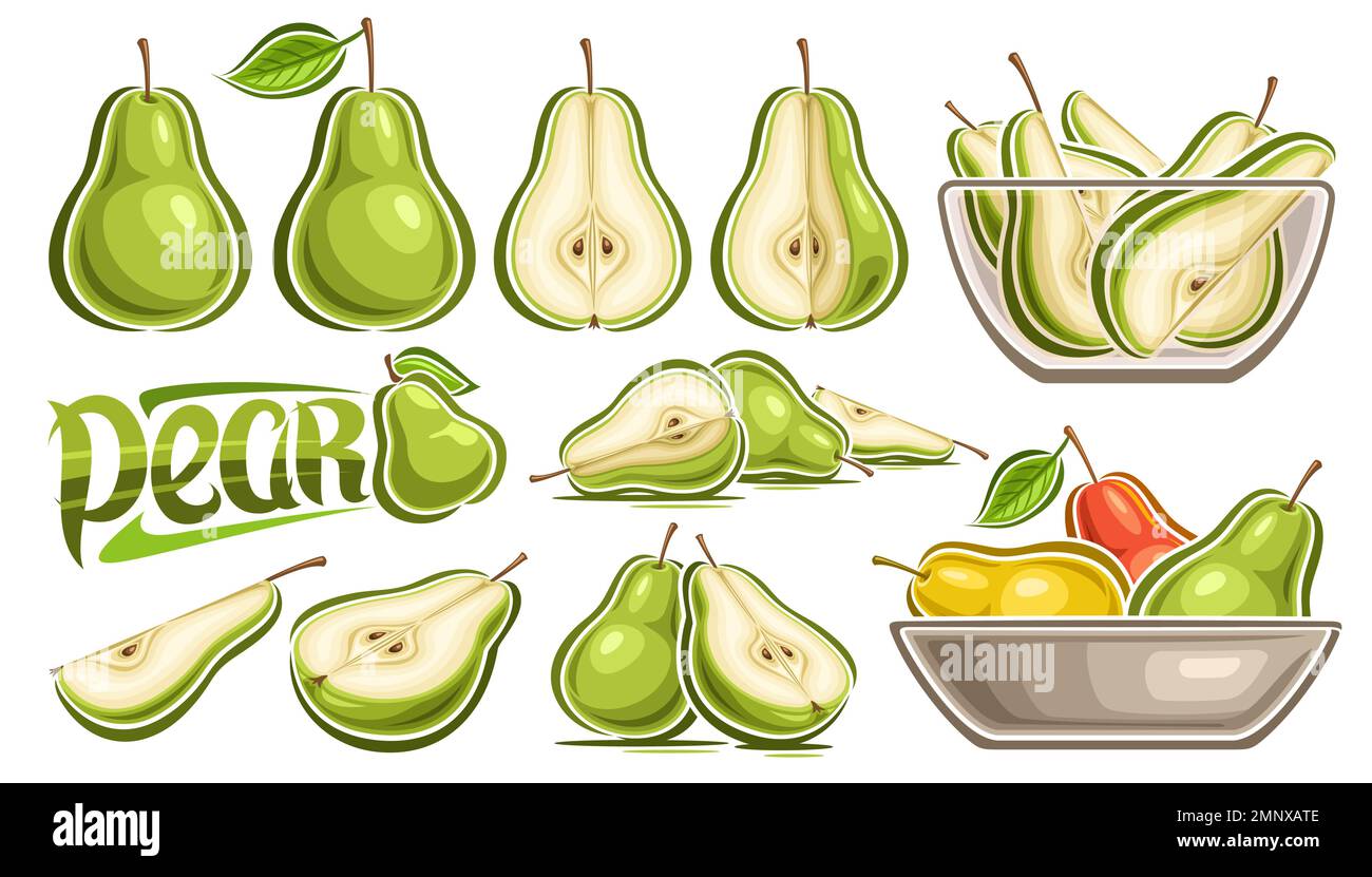 Pear variety Banque d'images vectorielles - Alamy