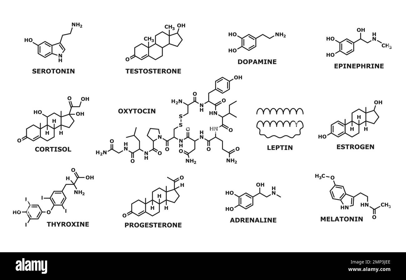 Formule hormonale. Symboles de la ligne de recherche en médecine ...