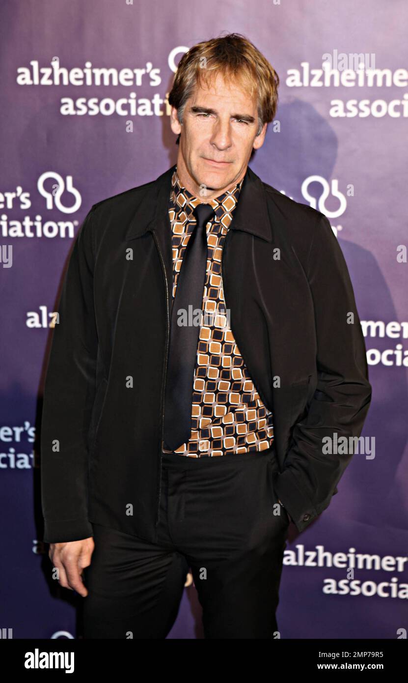 Scott Bakula au 19th annuel Par nuit au Sardi's collecteur de fonds et ...