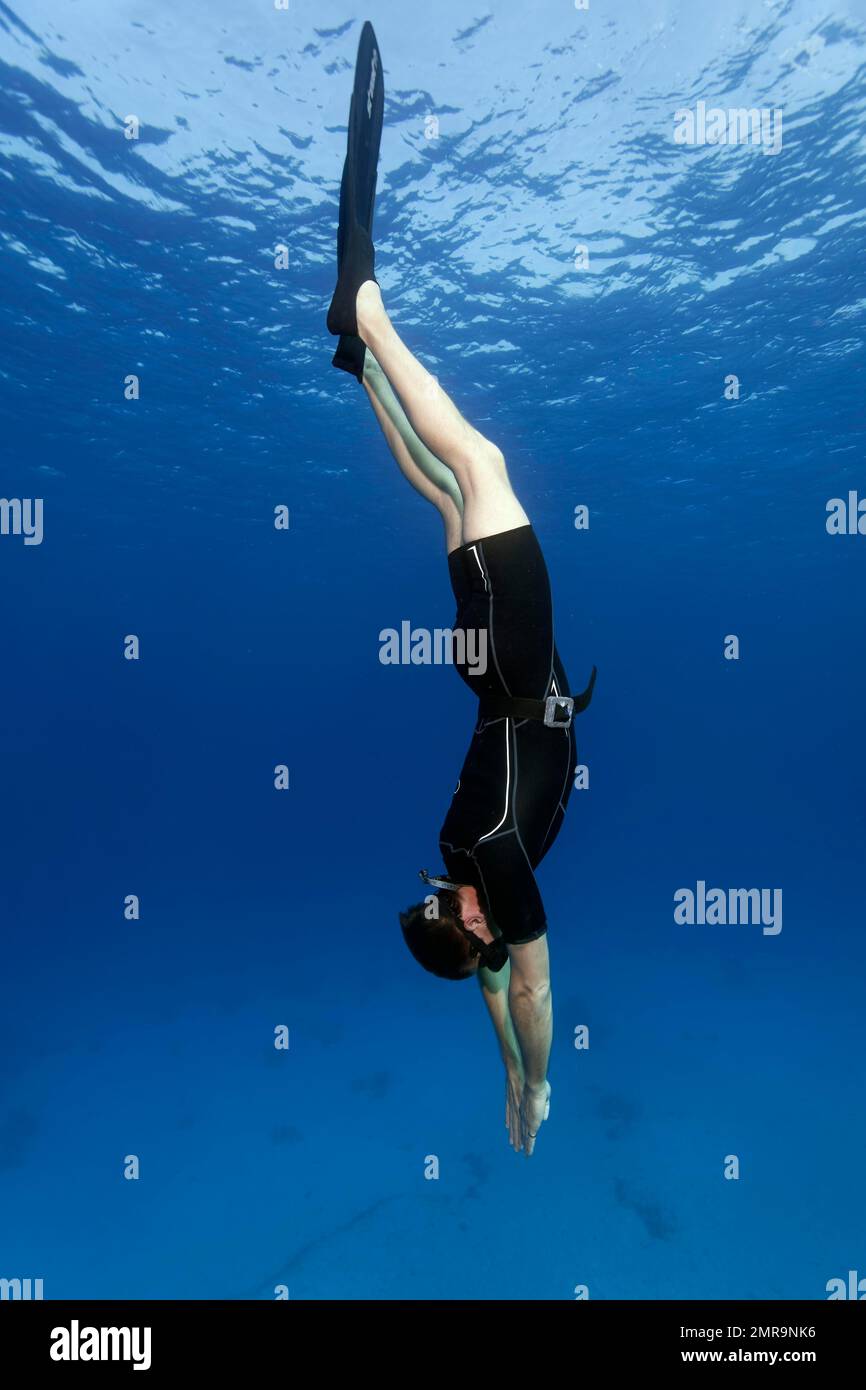 Plongée sous-marine, plongée libre, plongée sous-marine, plongée sous ...