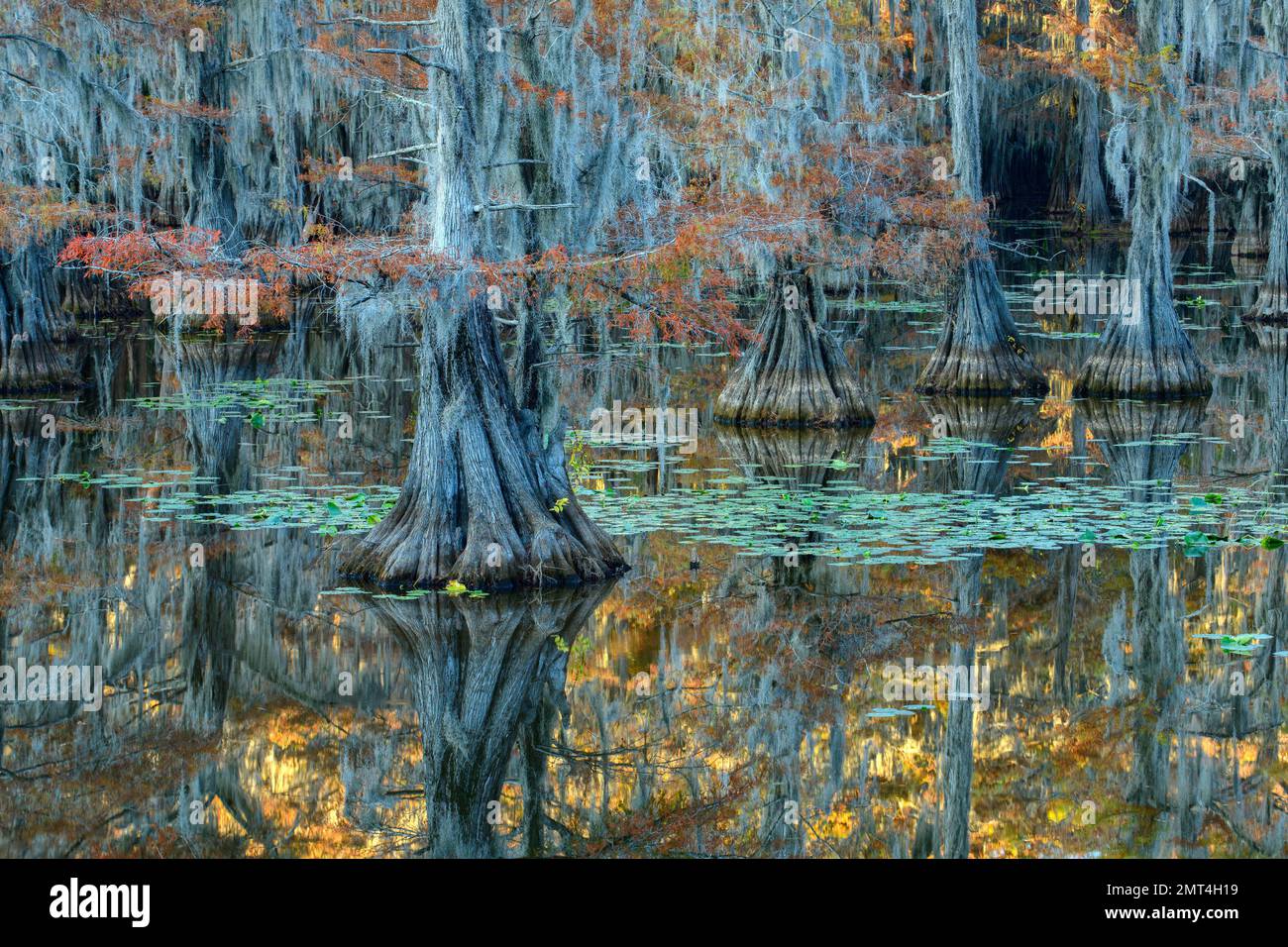 Karnack texas Banque de photographies et d’images à haute résolution ...