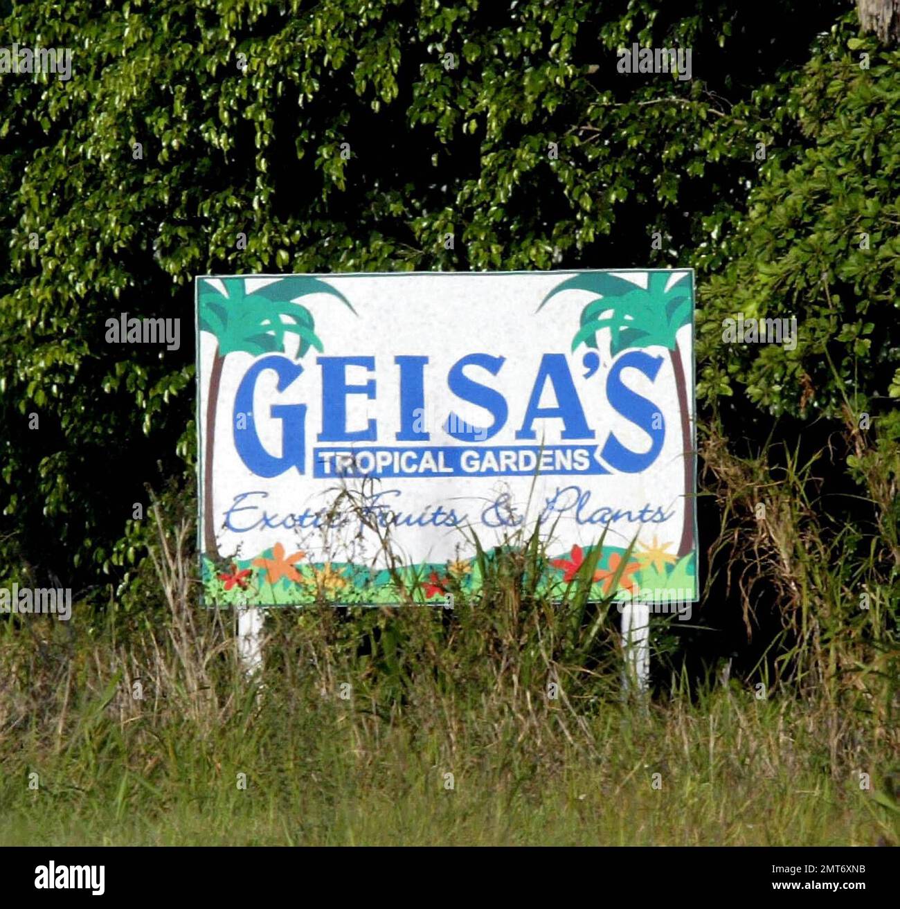 Exclusif !! Le fils d'OJ, Jason Simpson, se Marie aux jardins tropicaux ...