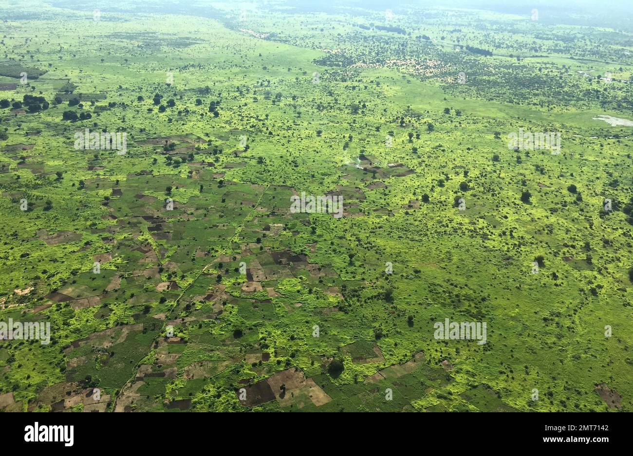 In this photo taken Thursday, July 13, 2017, scattered trees dot the ...