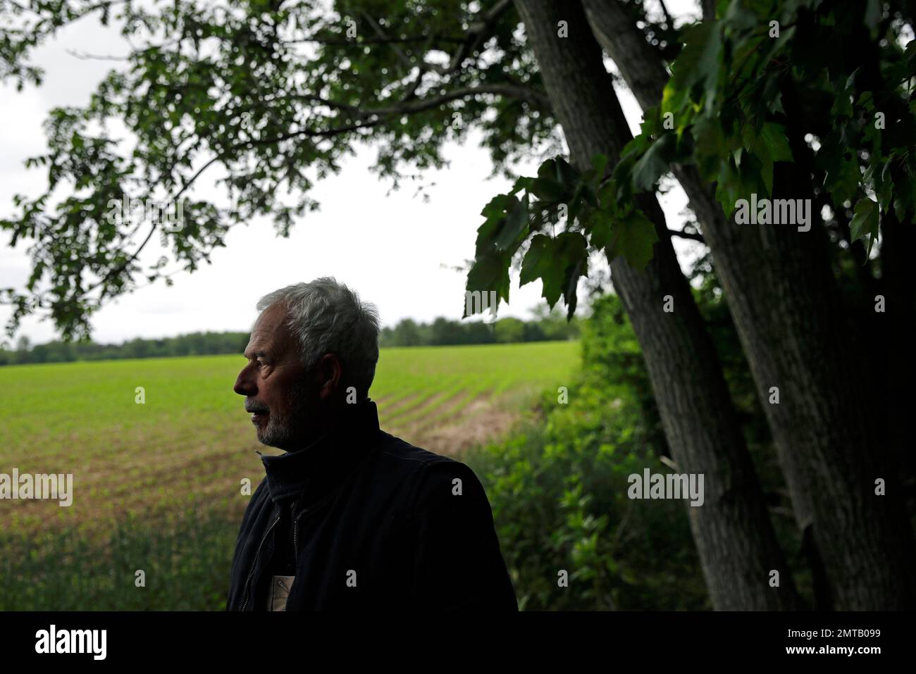 In this May 12, 2017 photo, Michael McCrea stands under a canopy of ...