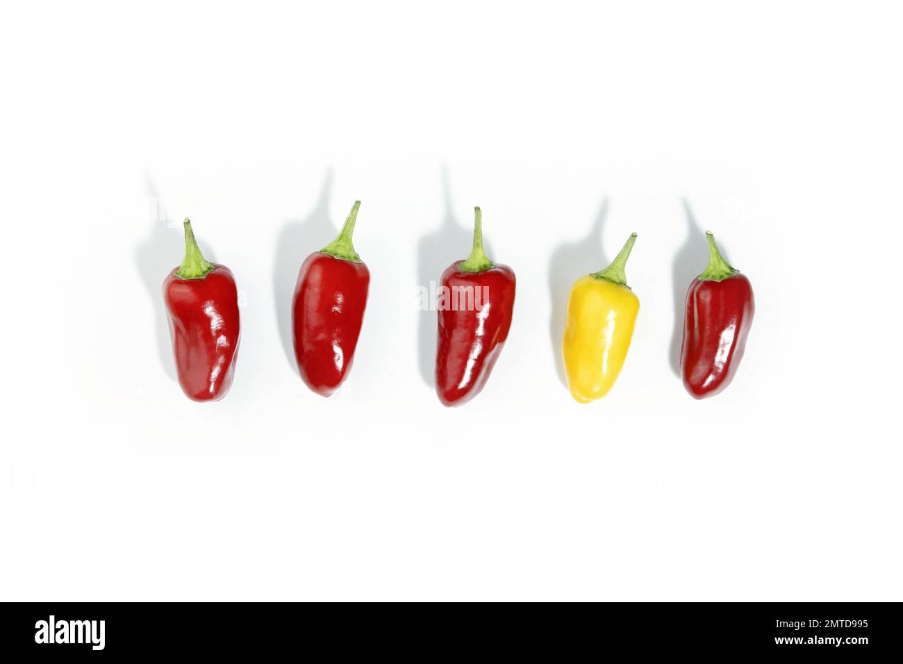 Harissa curry tunisia Banque d'images détourées - Alamy