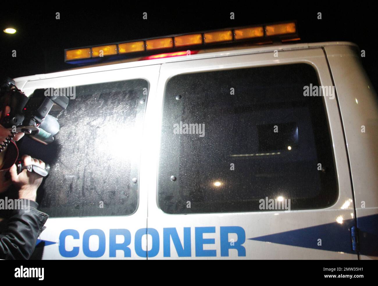 Selon certains, la reine Whitney Houston est décédée à l'âge de 48 ans ...