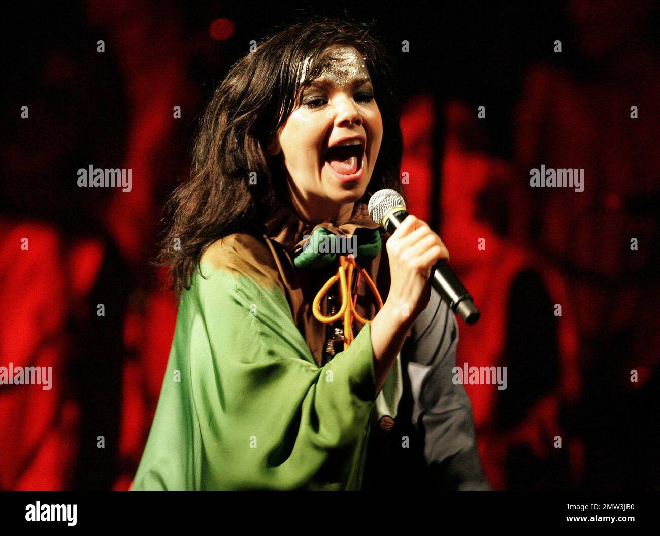 FILE - In this Nov. 13, 2007 file photo, Icelandic singer Bjork ...