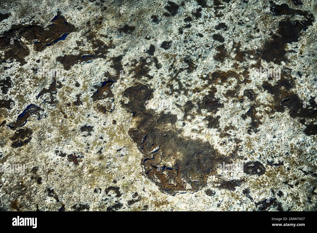 Sol de type solonchak Banque de photographies et d’images à haute ...