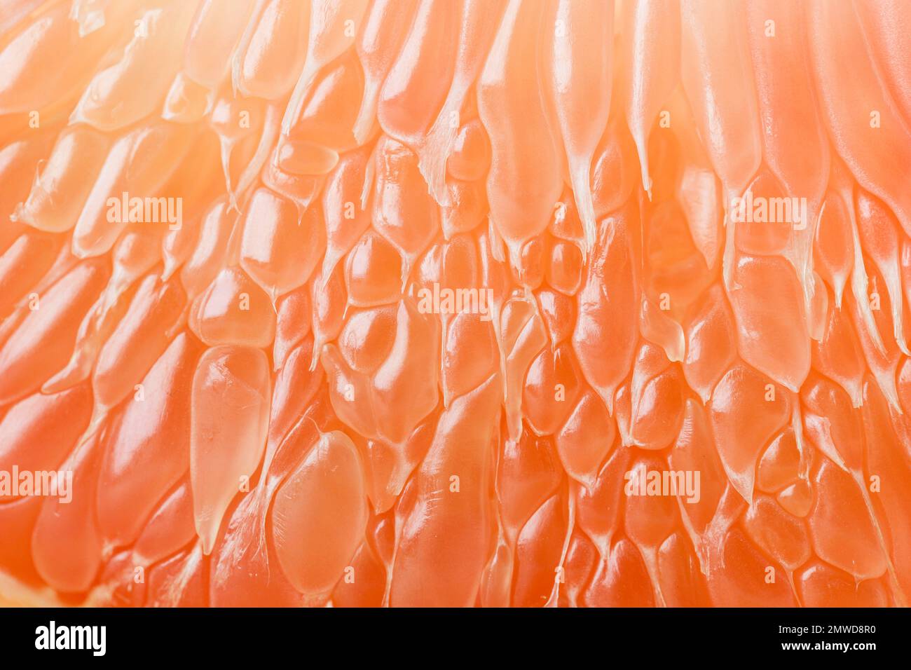 Pomelo rouge Banque de photographies et d’images à haute résolution - Alamy