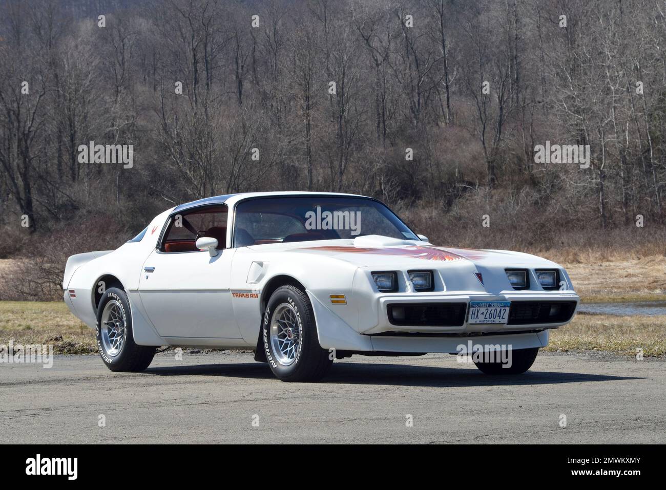 Pontiac firebird trans am 1979 Banque de photographies et d’images à ...