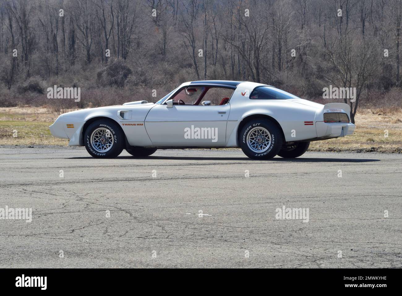 Pontiac firebird trans am 1979 Banque de photographies et d’images à ...
