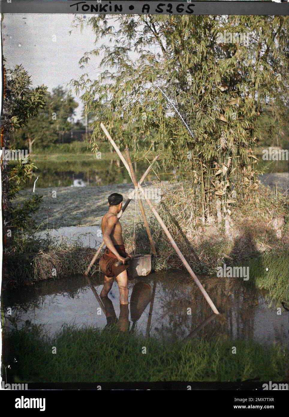 Tonkin, Indochina Un homme utilisant un seau à poignée, un système de ...