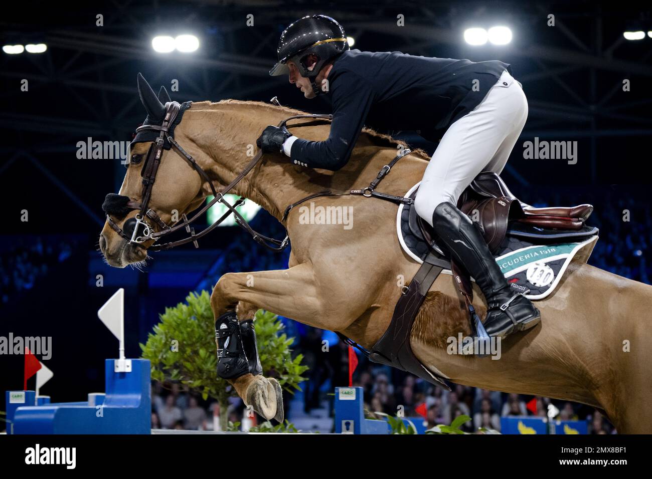 AMSTERDAM - Rider Kevin Staut (FRA) sur Hallilea lors de la coupe du ...