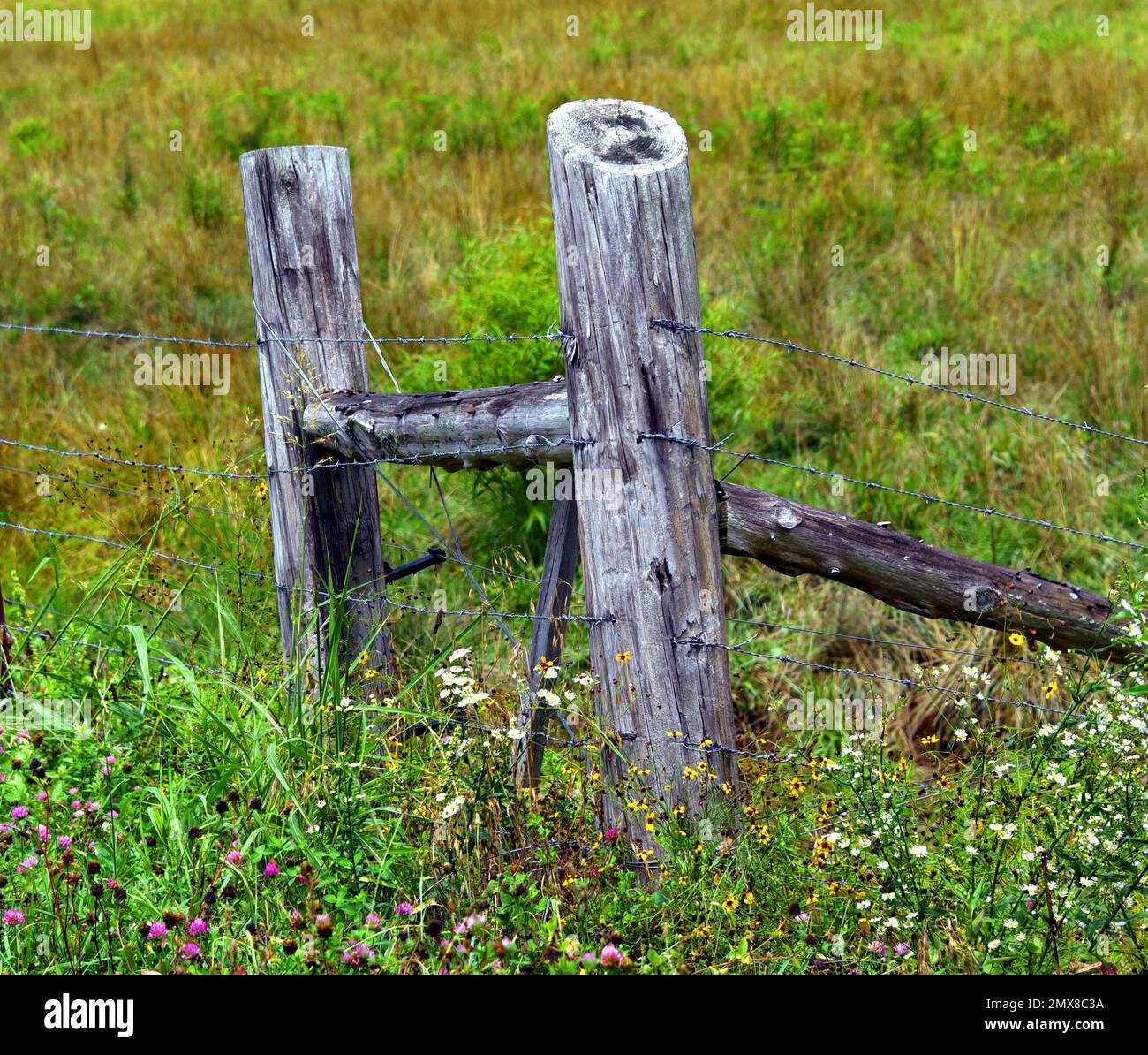 Grand, rustique, poste de clôture sert d'équilibre de poids pour les ...