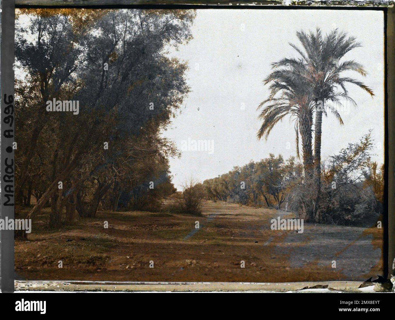 Marrakech, Maroc les Jardins du Dar El Maghzen , 1912-1913 - Maroc ...