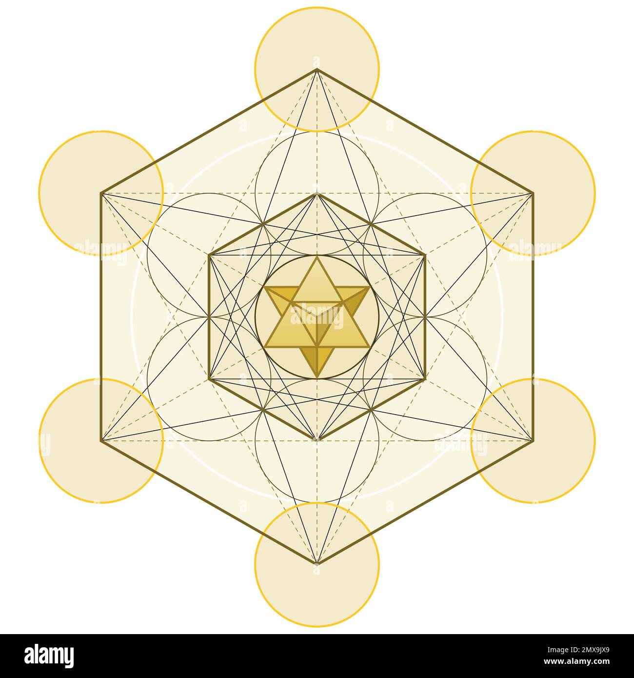 Conception vectorielle du symbole metatron, géométrie sacrée, figure ... Conception vectorielle du symbole metatron, géométrie sacrée, figure ...