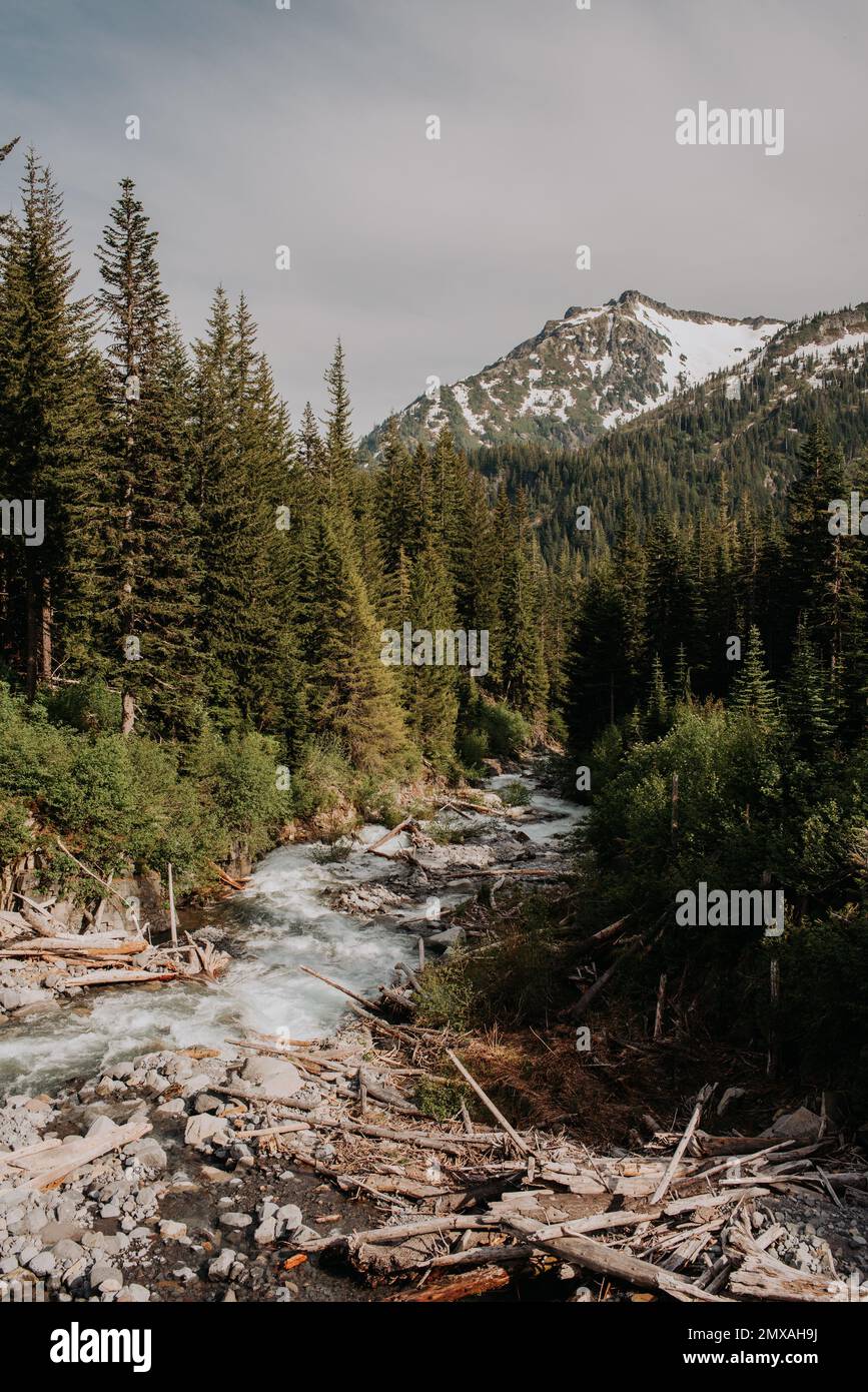 Cascades du parc national du mont rainier Banque de photographies et d ...