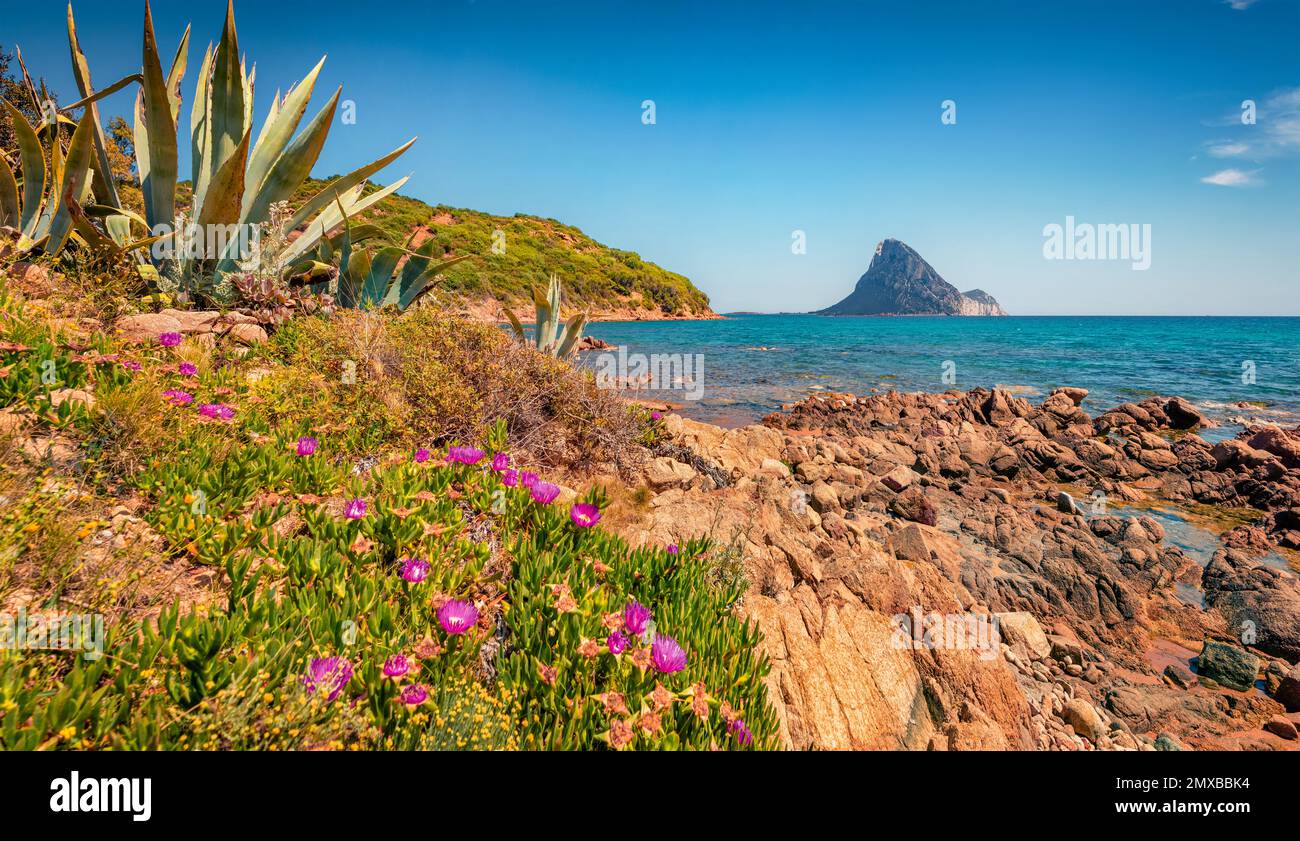 Magnifique paysage marin. Vue pittoresque sur l'île de Tavolara depuis ...